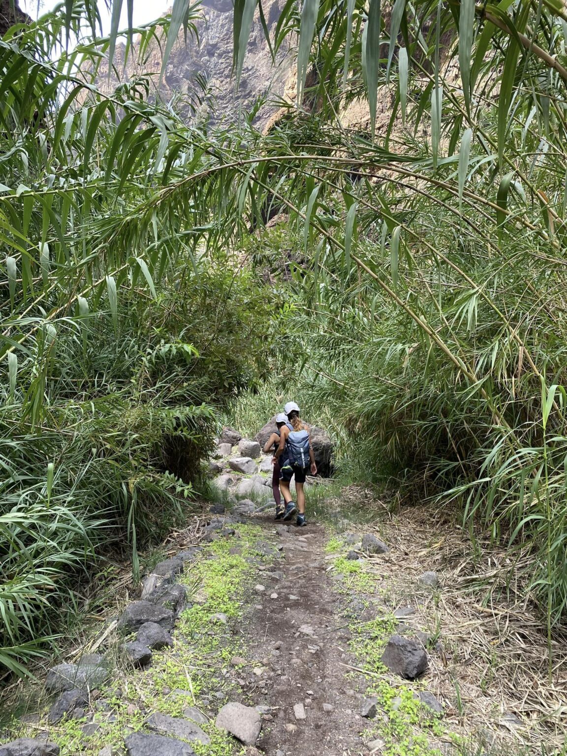 MASCA GORGE TOUR - MASCA HIKING INCL. WATERTAXI - Tenerife Adventures